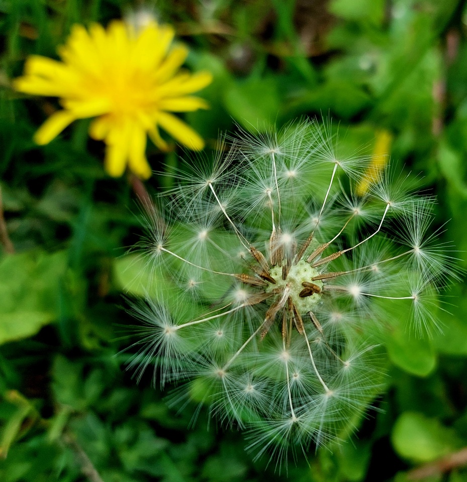 It's that time of... | chrisA | Blipfoto