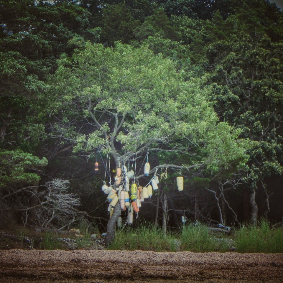 Buoy Tree | Evie11 | Blipfoto