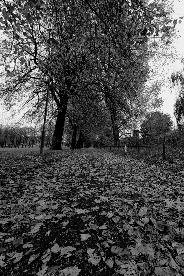 Gravity | middleman | Blipfoto