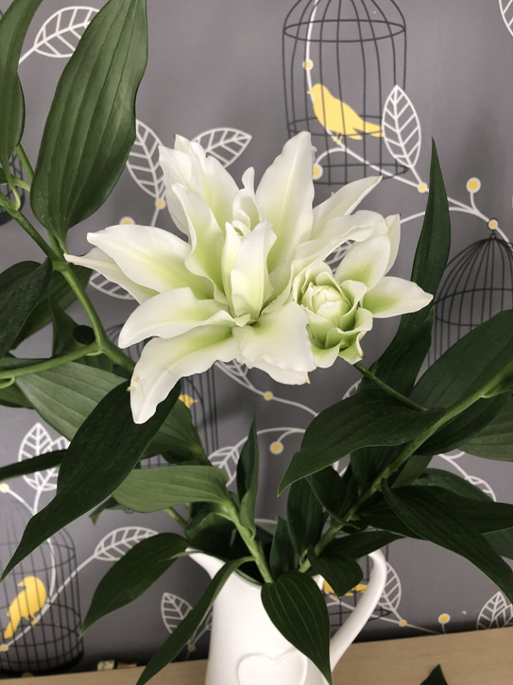 Fragrant Flower | Lala | Blipfoto