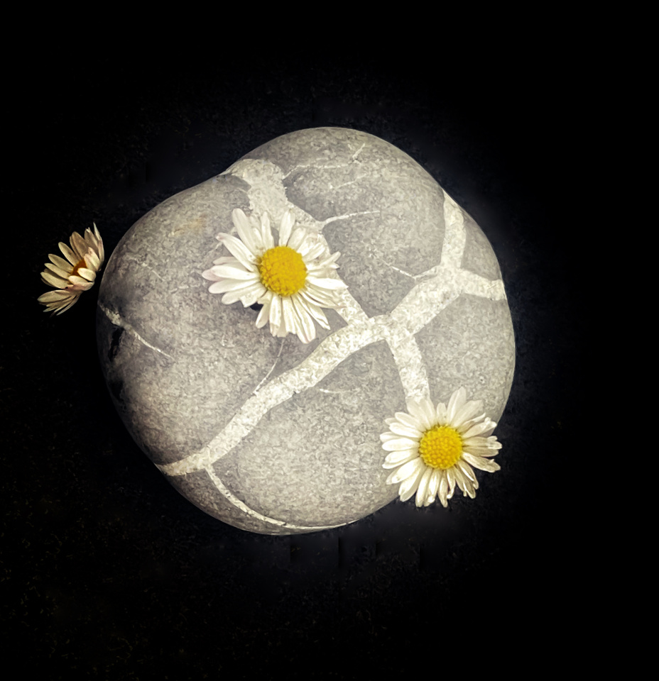 flower friday | sk | Blipfoto