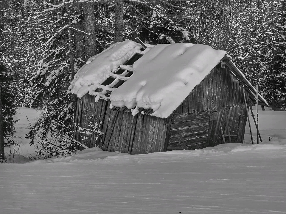 Tumbledown | Technophobe | Blipfoto