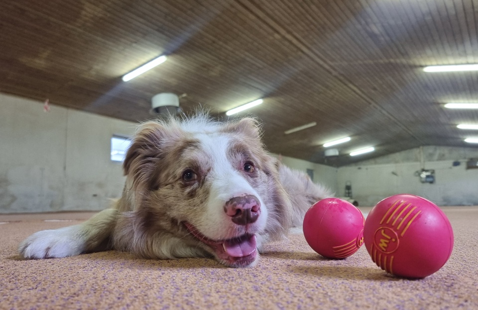 2 New Balls | TheHazylandBoys | Blipfoto