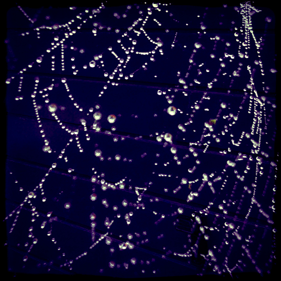 DOUBLE WEB | Riversider | Blipfoto