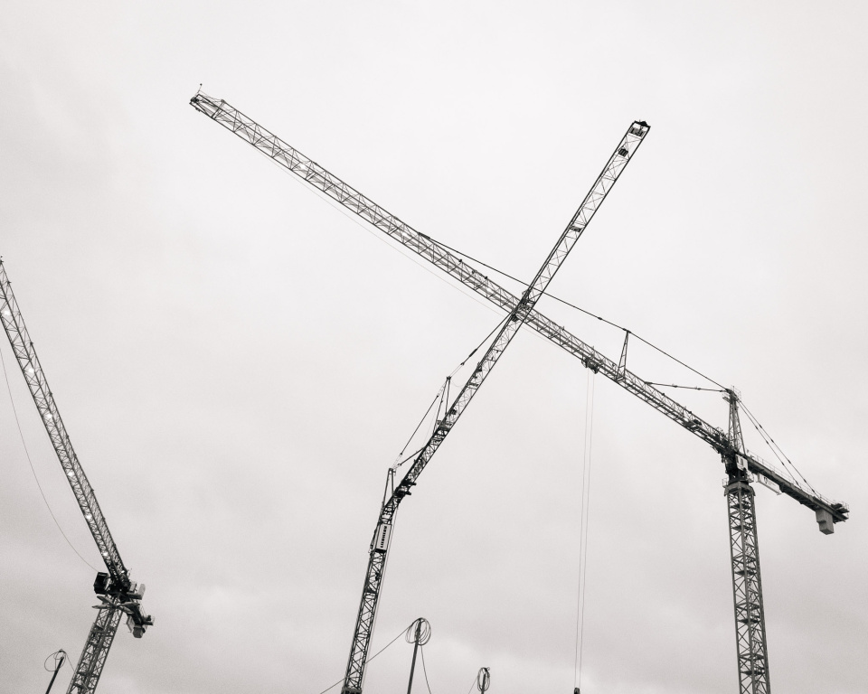Cranes | BengtCarlsson | Blipfoto