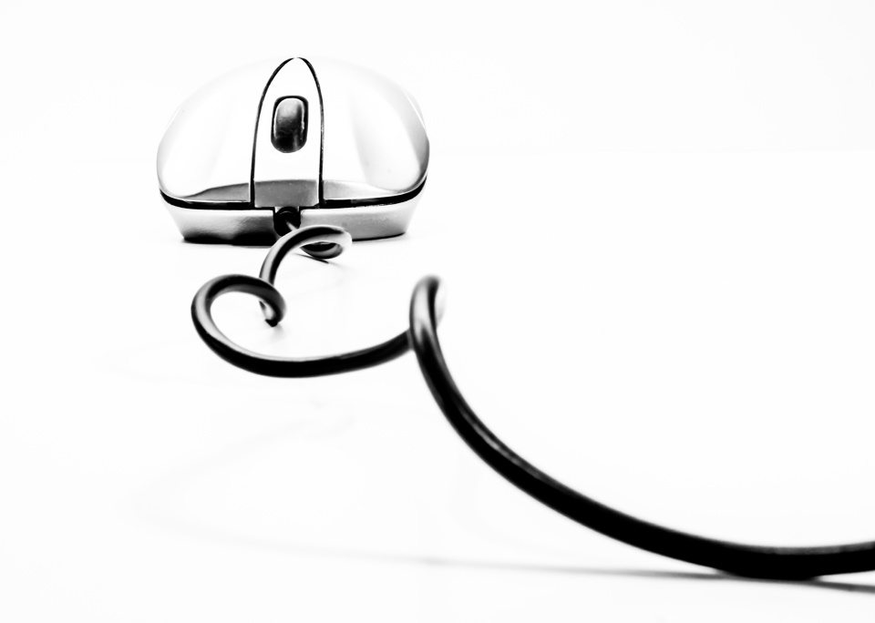 Curly-tailed Mouse | Kernow | Blipfoto