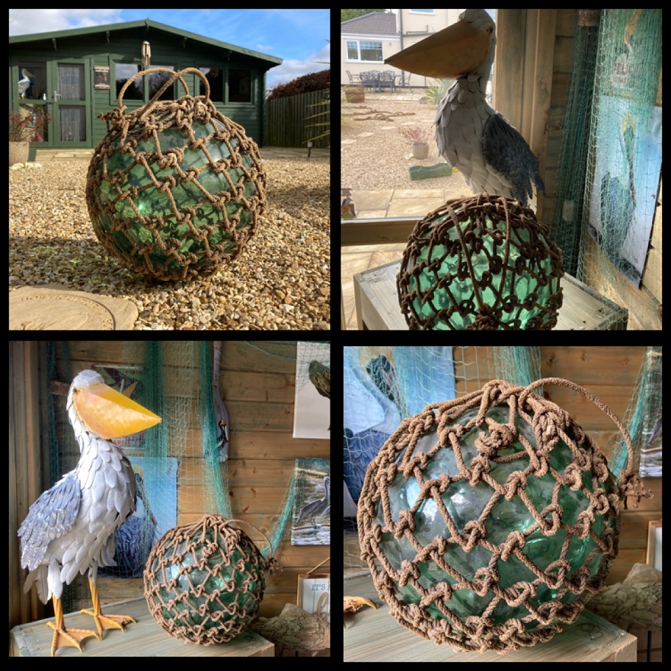 New addition | Alison666 | Blipfoto