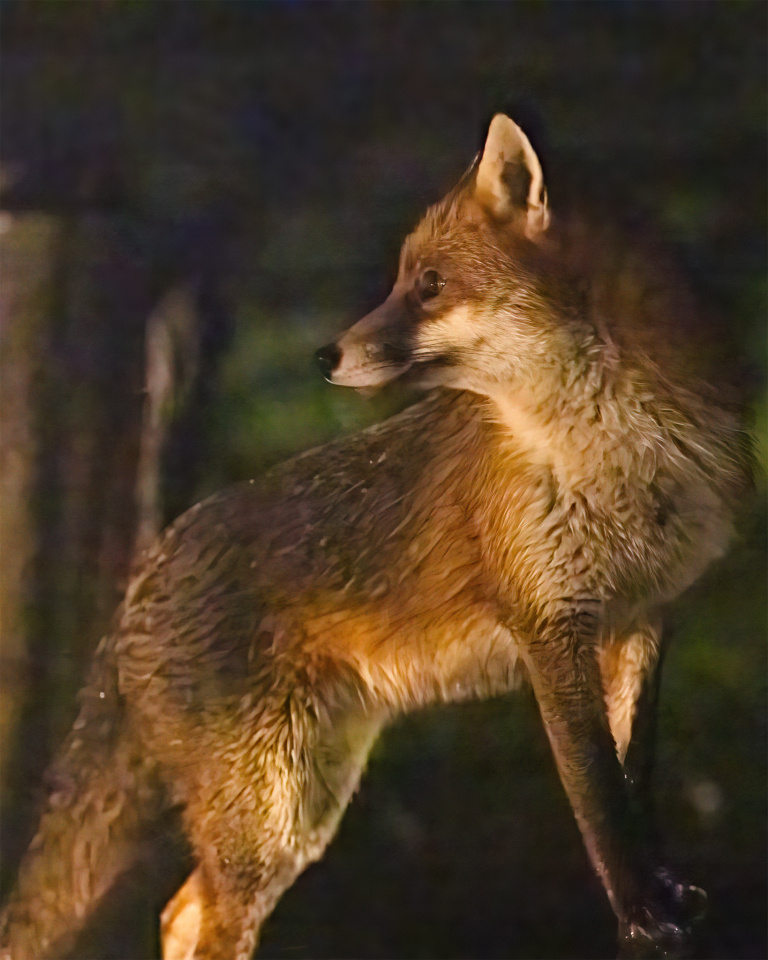 Raining Again | Hillyblips | Blipfoto