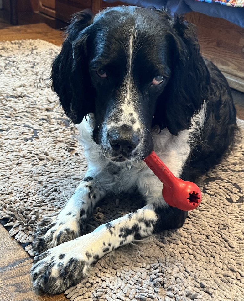 A Wild Day | Wildwood | Blipfoto