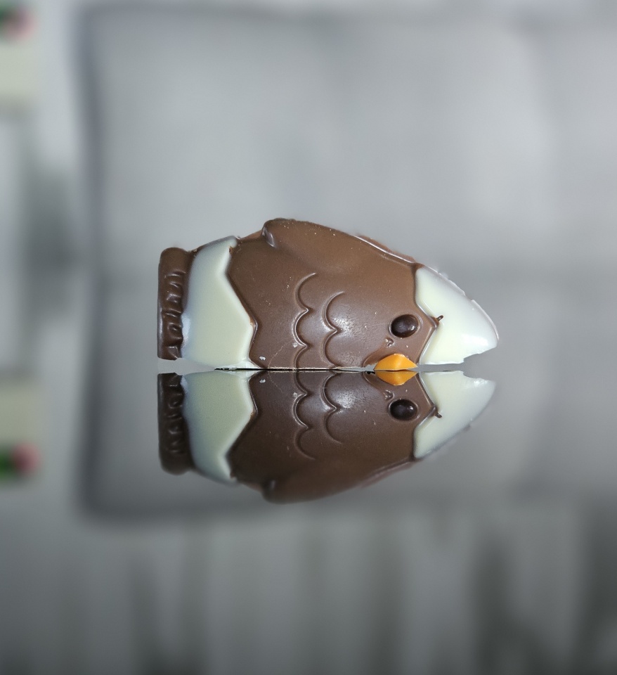 Chocolate Chook | GillyS | Blipfoto