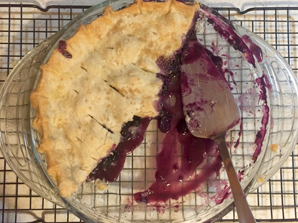 Pie plate half full or half empty? | jMcLean | Blipfoto