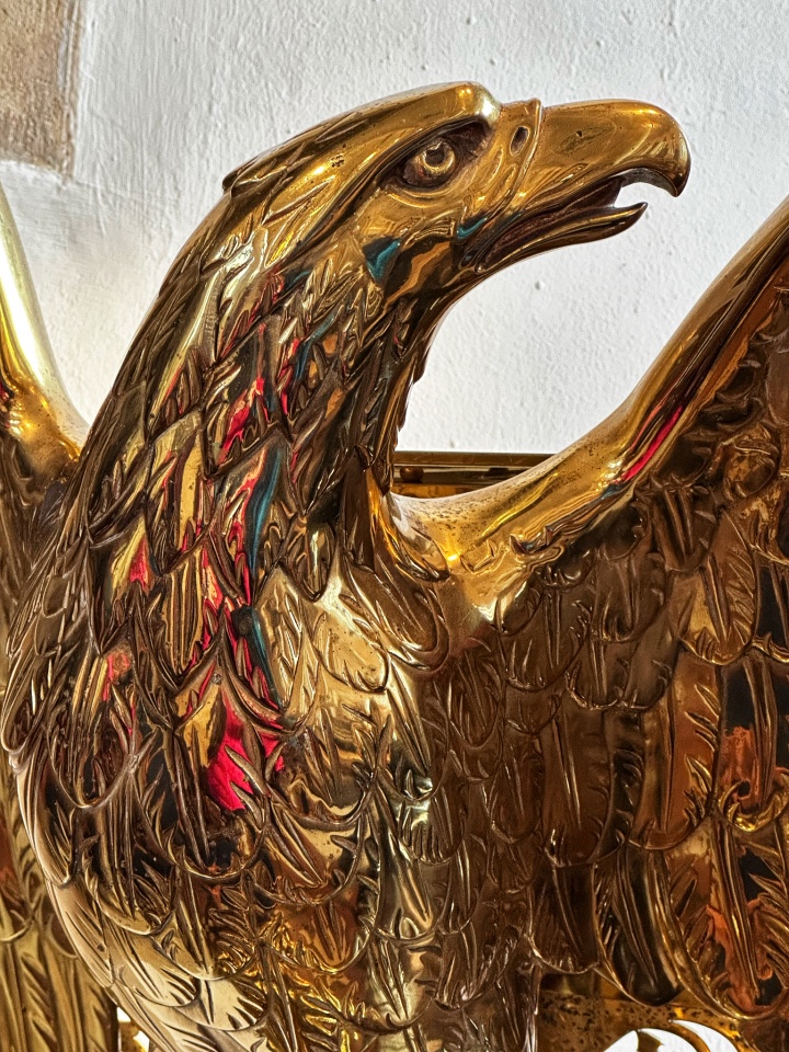 Big Bird | Technophobe | Blipfoto