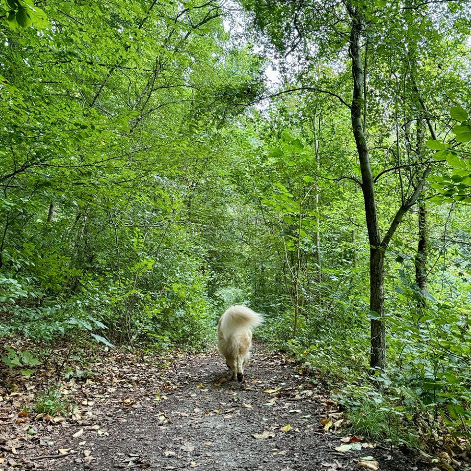 Flooof | kettwigefrau | Blipfoto