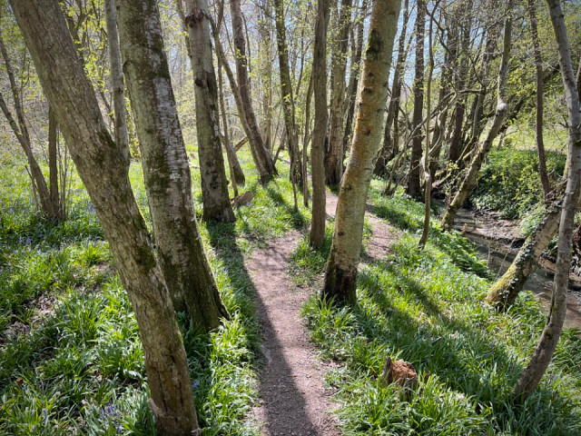 Wiggly path... | boyzee | Blipfoto