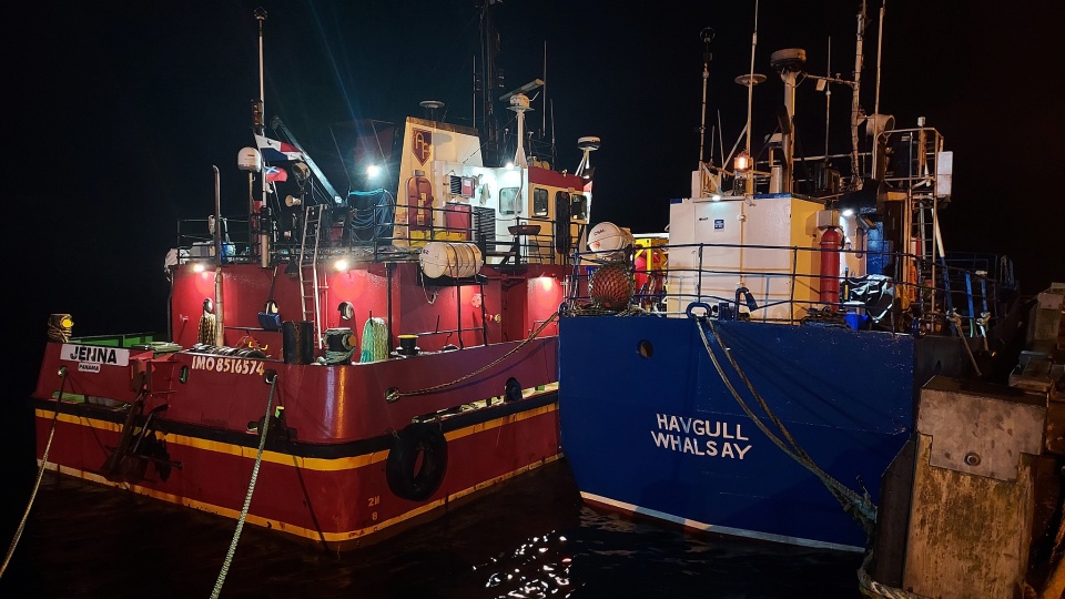 Night time! | snapper | Blipfoto