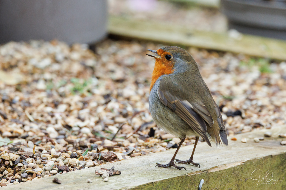 Supervisor | JDO | Blipfoto