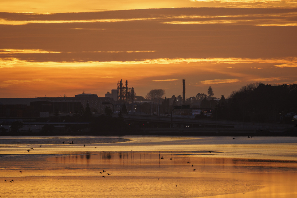 First thing | Meandertall | Blipfoto