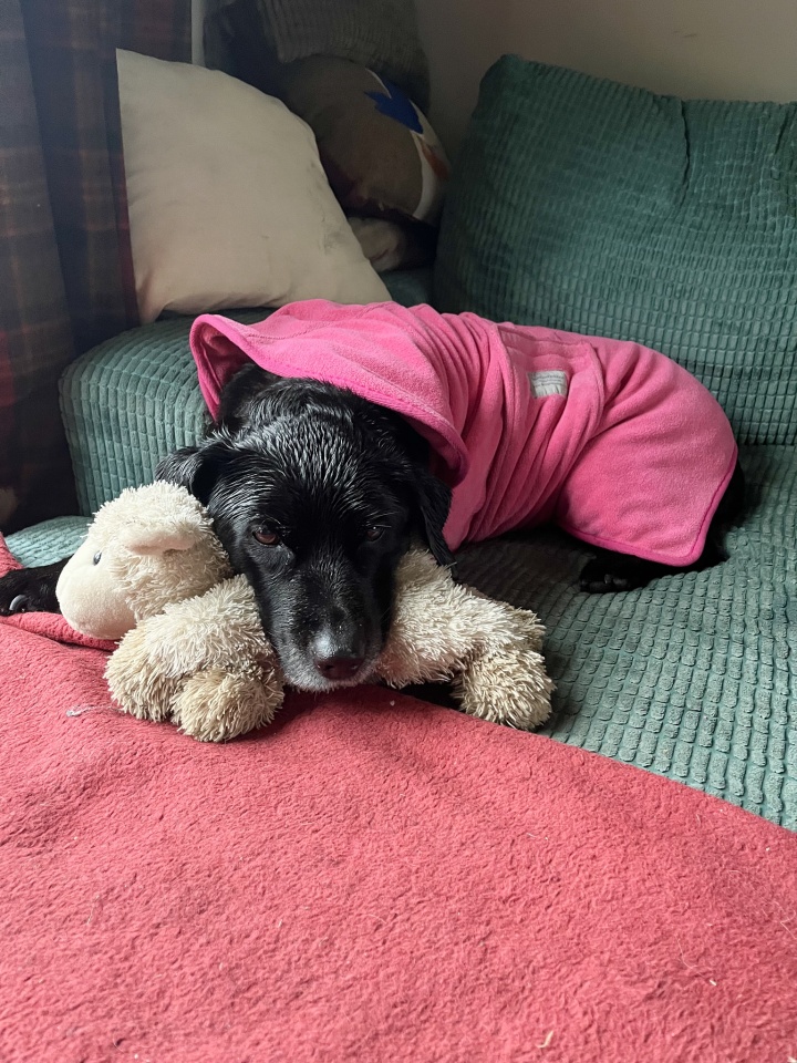 Luck | snapper | Blipfoto