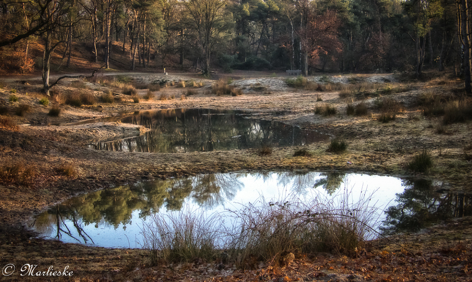 Imagine... | Marlieske | Blipfoto