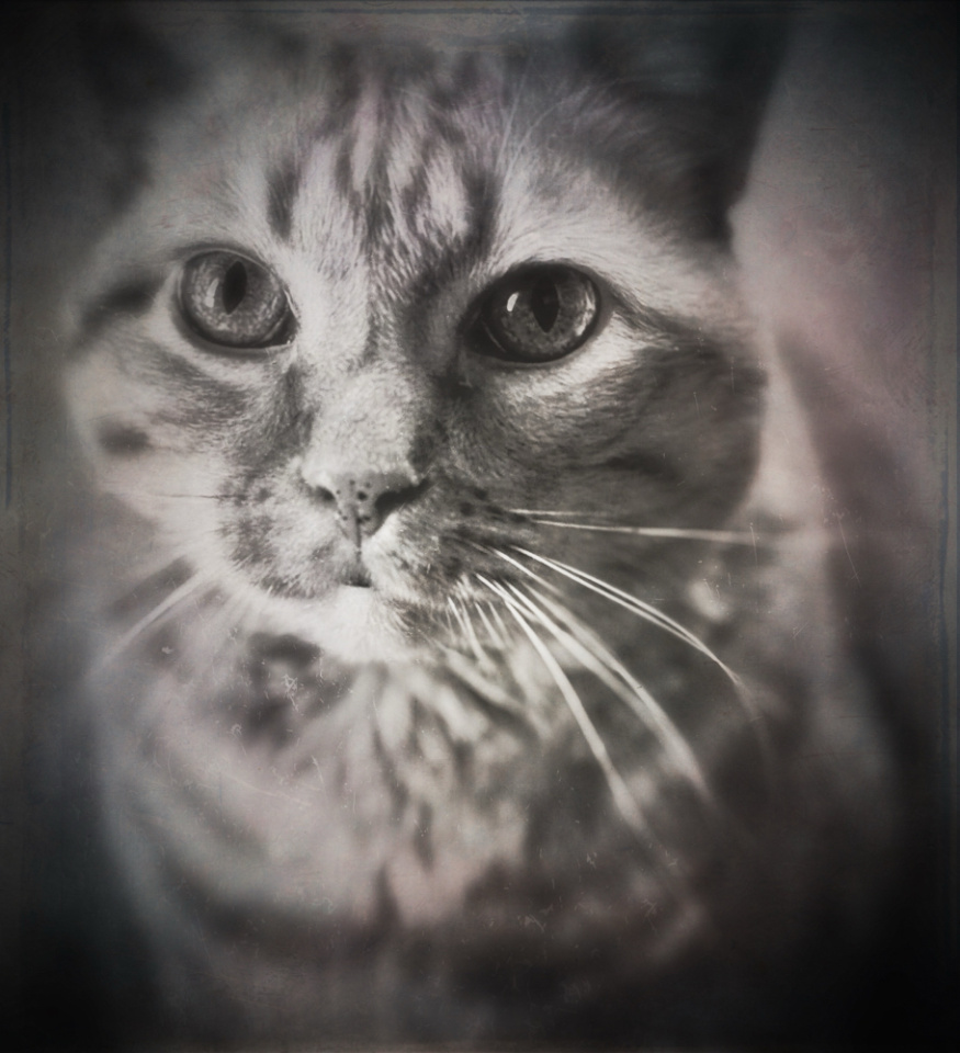 faffing… | simplemoments | Blipfoto