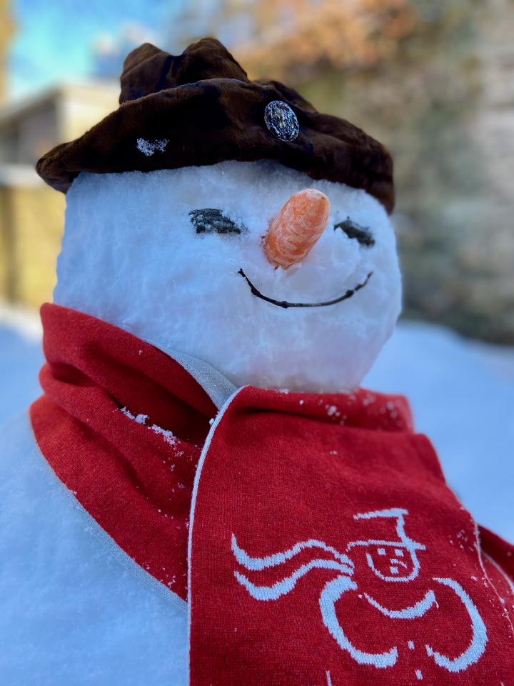 Snowman in a snowman scarf | hazelh | Blipfoto