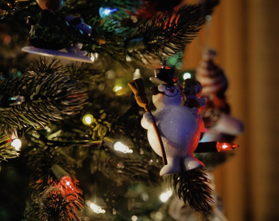 Frosty The Snowman | bugsman | Blipfoto