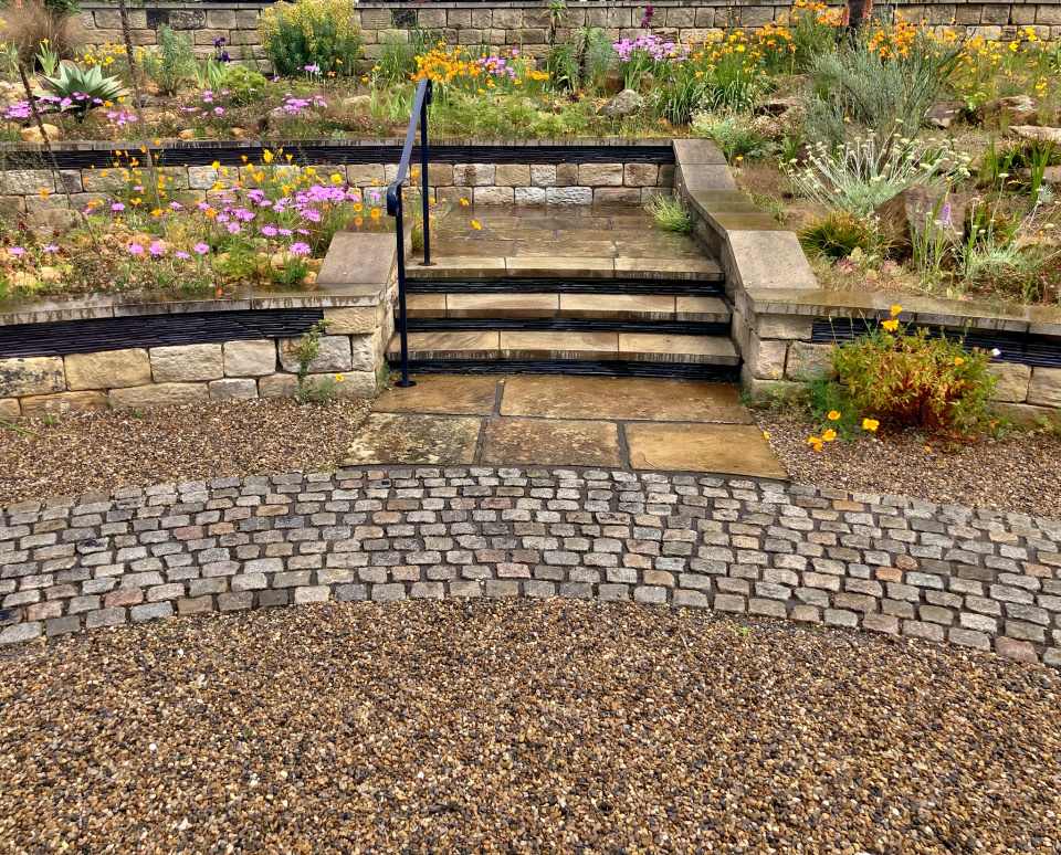 A Wet Mediterranean Garden | mambo | Blipfoto