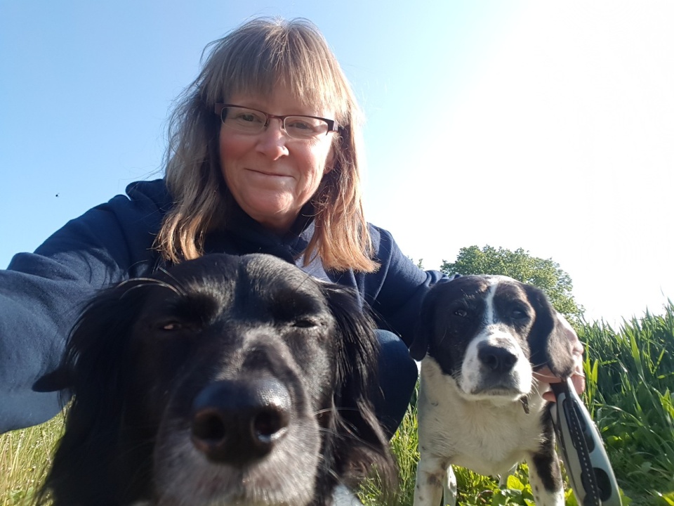 Sunny dog walk | Beeonhive | Blipfoto