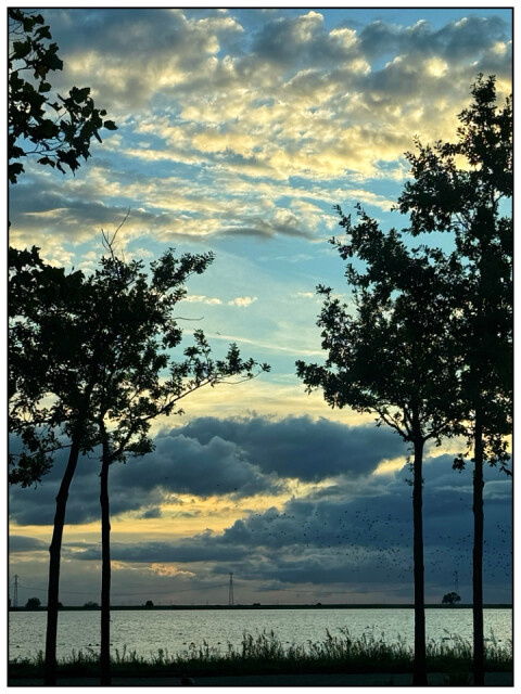 Almost home | Ilja | Blipfoto