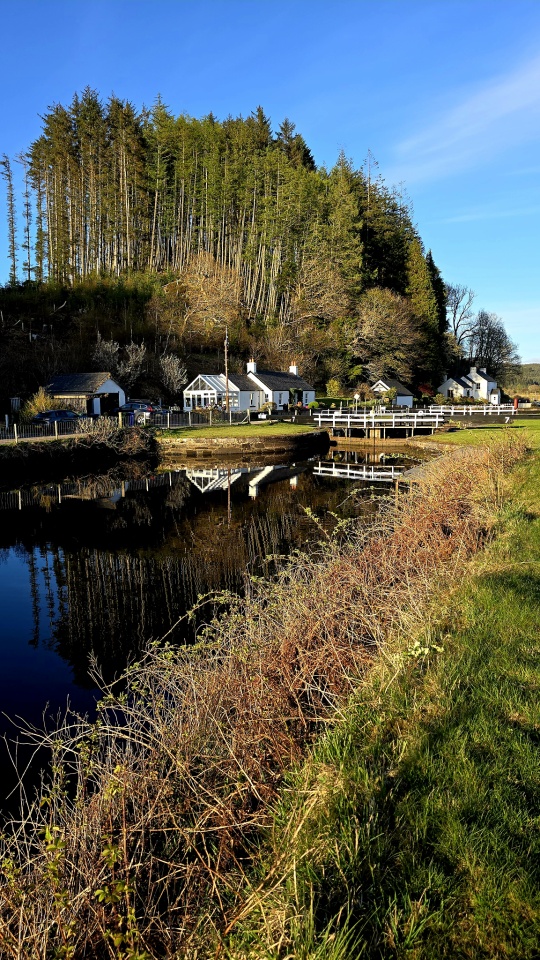 Evening light | snapper | Blipfoto