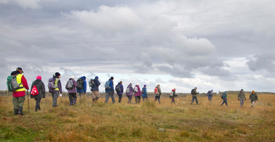 Snake walk | walkingMarj | Blipfoto