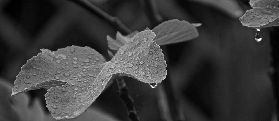 bank holiday joy..... | catoblips | Blipfoto