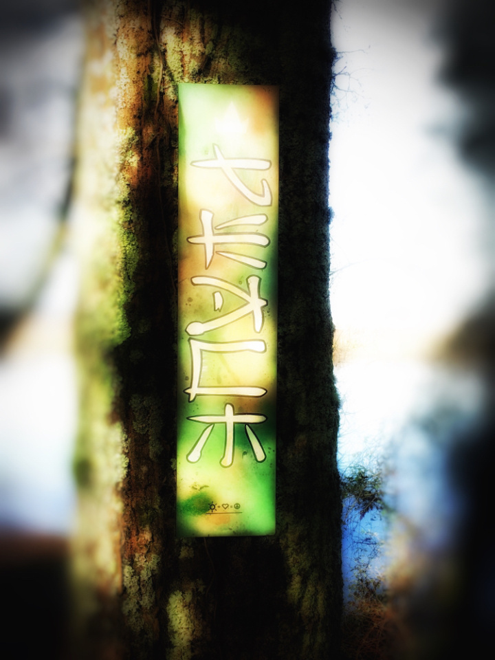 Message On A Tree | youoregon1 | Blipfoto