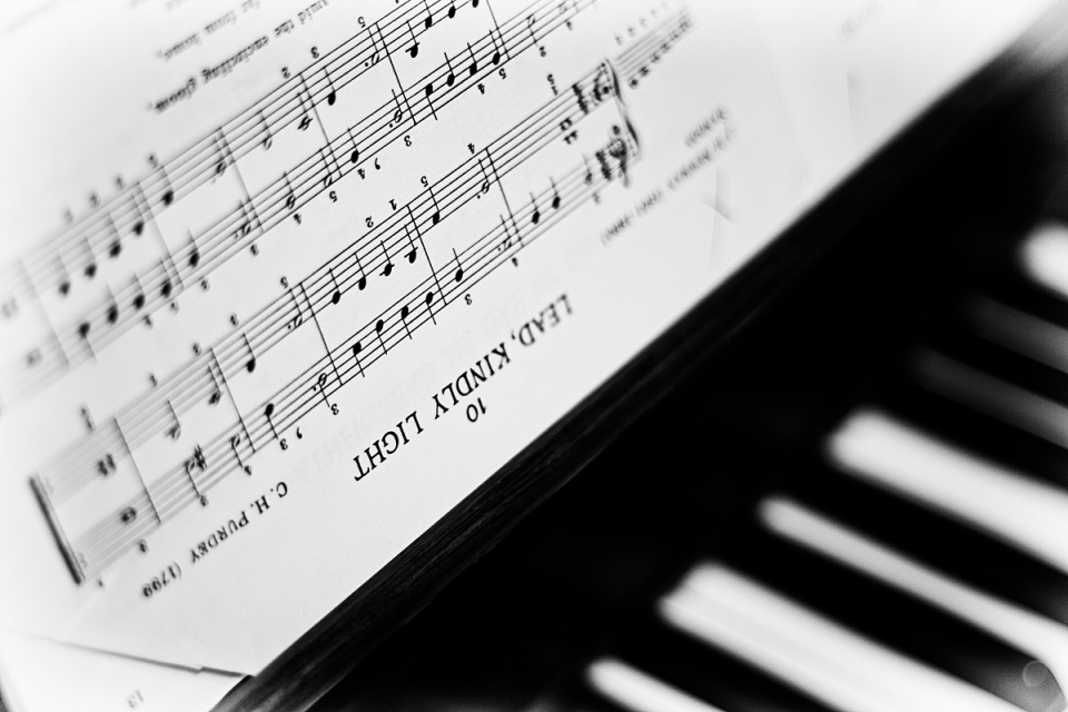 we were treated .... | catoblips | Blipfoto