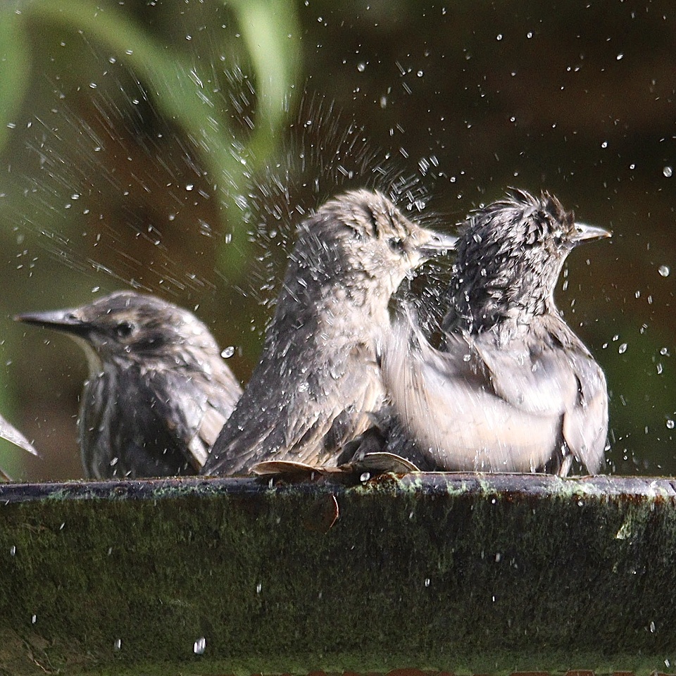 Bath time | SecretBlipper | Blipfoto