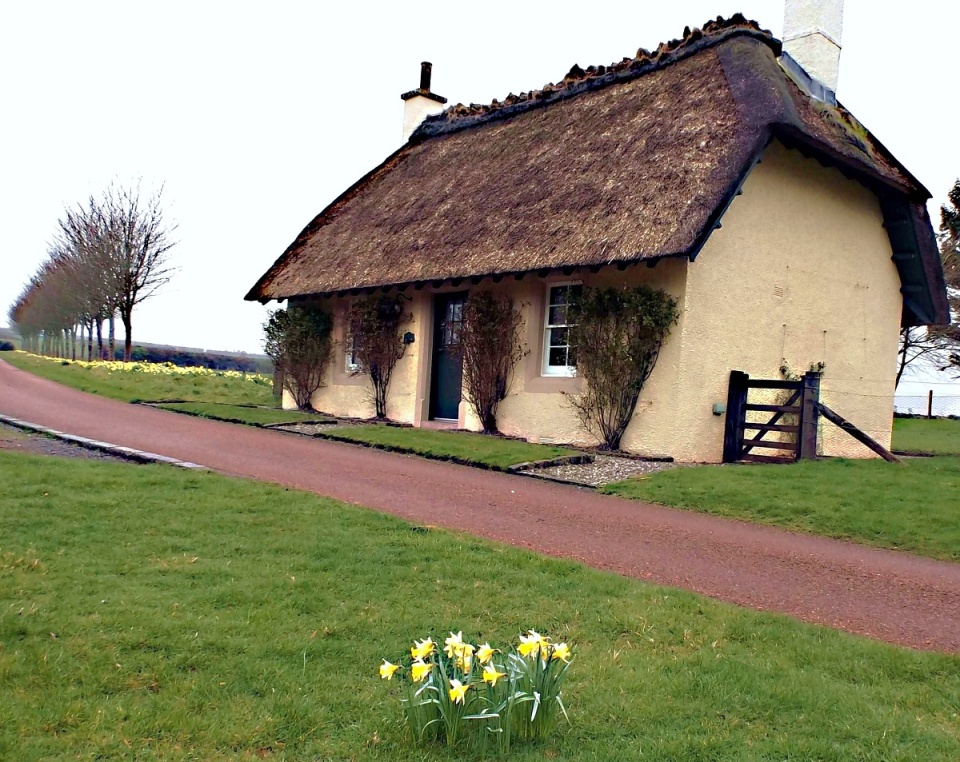 Nice Thatch | Skyegirl | Blipfoto