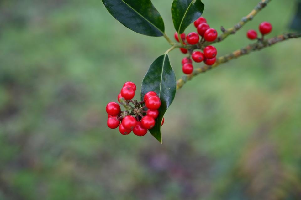 During a lull in the wind... | IAE | Blipfoto