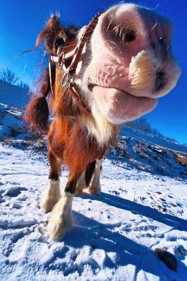 Lovely time out with... | Reike | Blipfoto