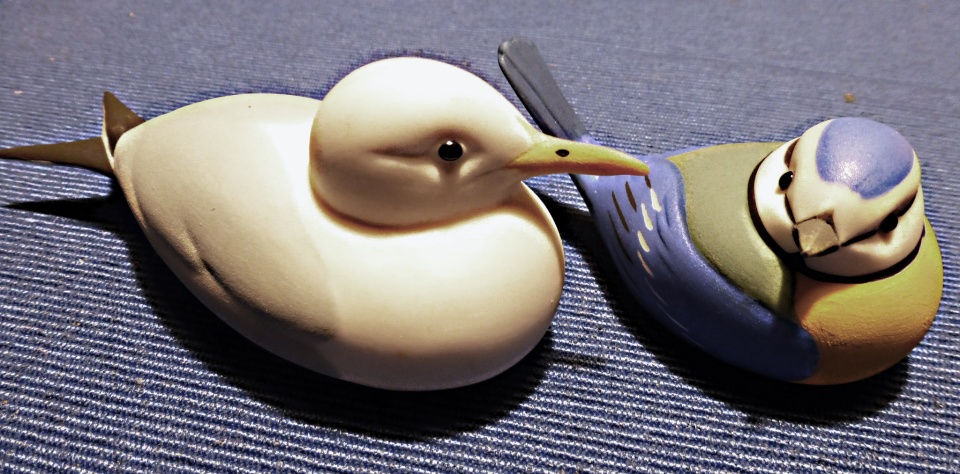 Arran Birds | Skyegirl | Blipfoto