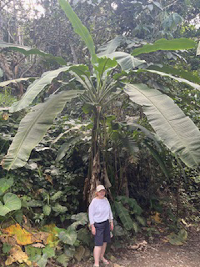Sage mountain, Tortola, British Virgin Island | Libra | Blipfoto