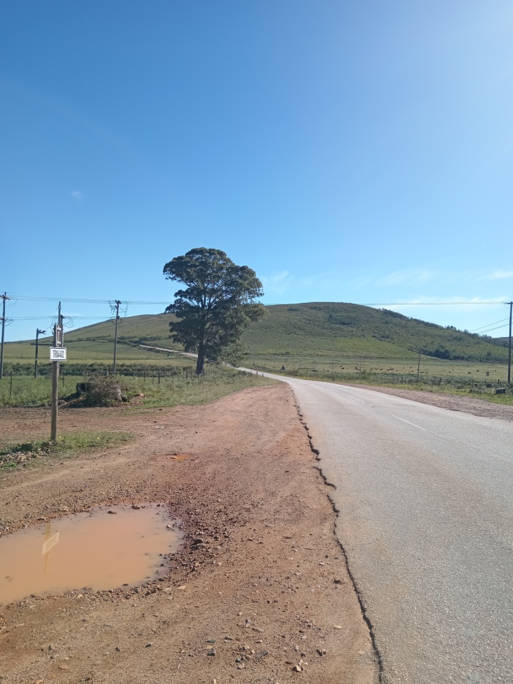 Long road ahead. | Schoenies | Blipfoto