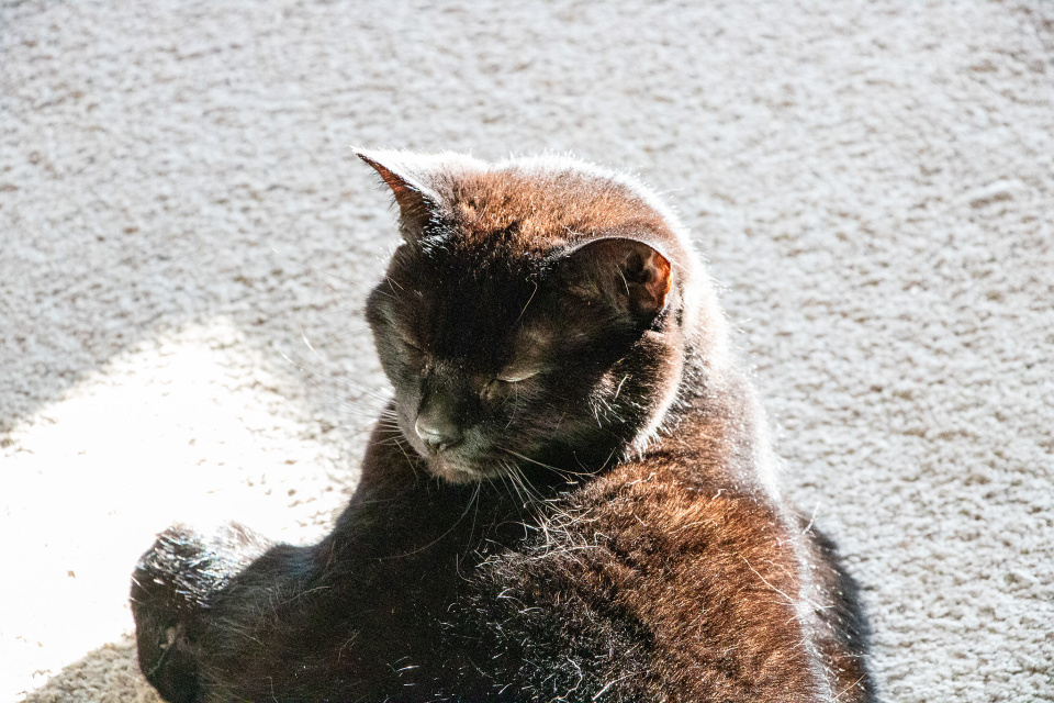 Livvy | KathyH58 | Blipfoto