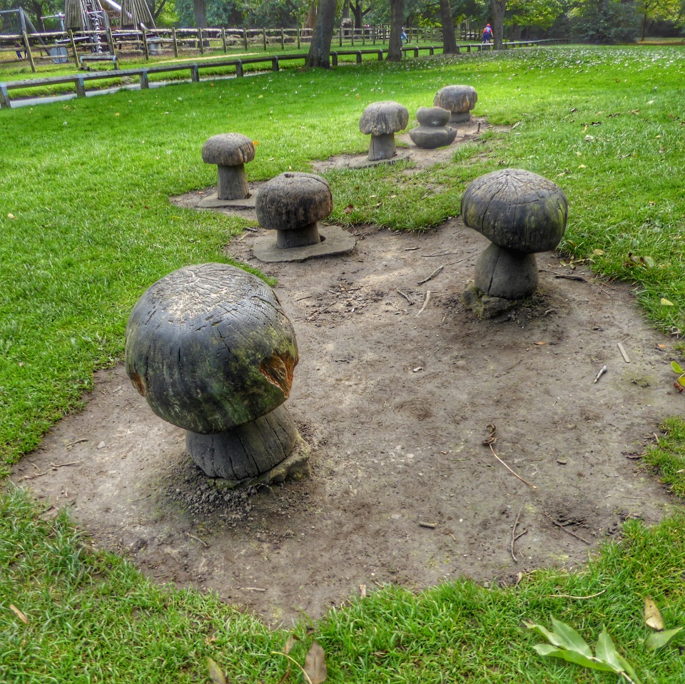 Mushrooms | corinthian | Blipfoto