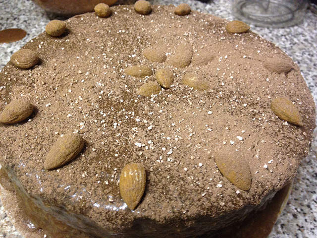 Get your mouth round that! | Mooley | Blipfoto