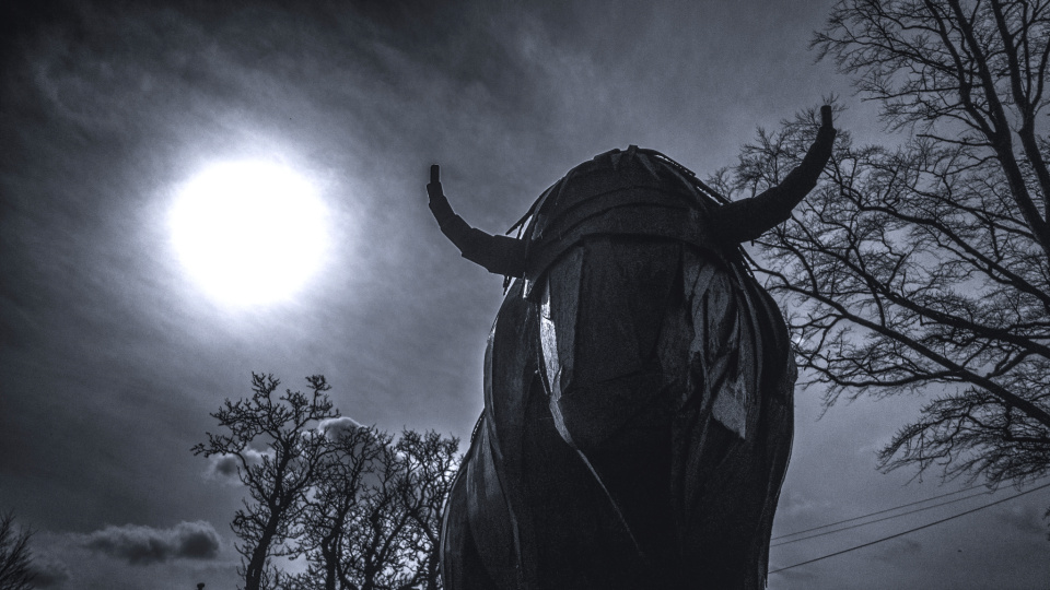 Rhug Bison | IanWright | Blipfoto