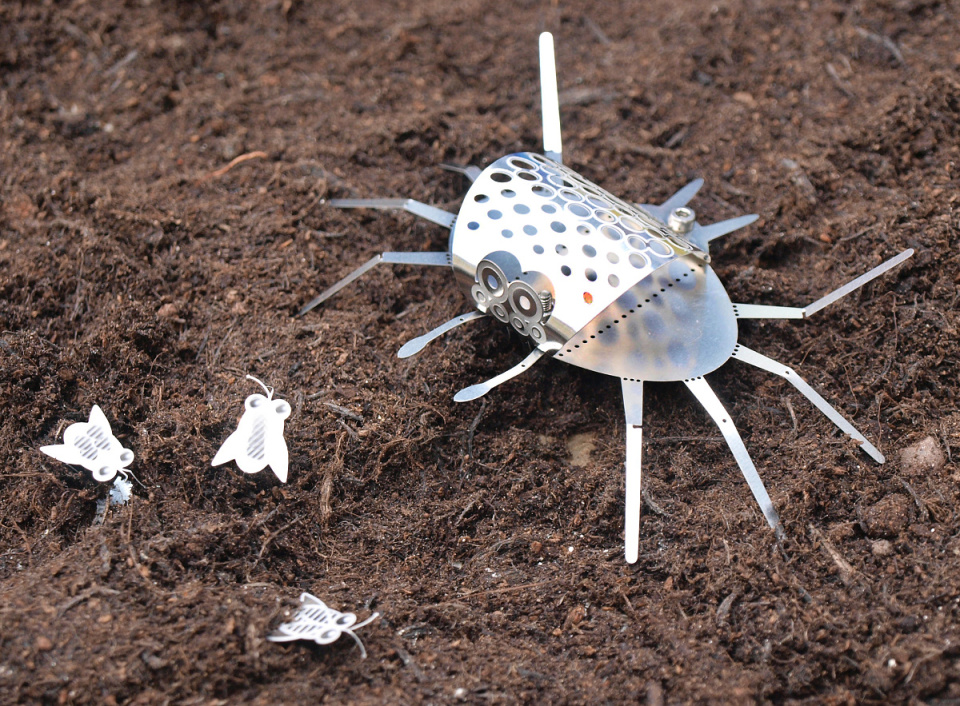 Stainless Steel Spider | JDavidGreenwood | Blipfoto