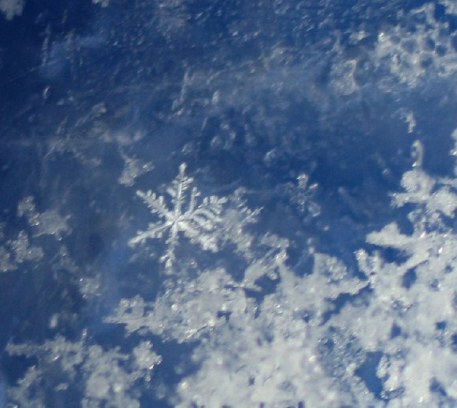 Single snowflake | uniqueandlovely | Blipfoto