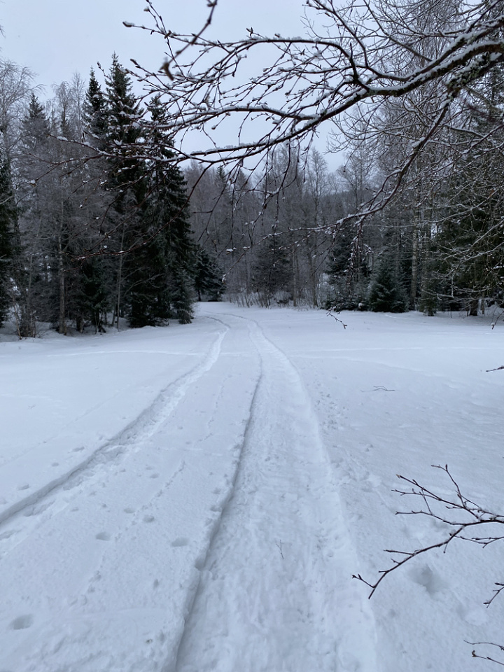 Sledge slope prepared . | brambleblossom | Blipfoto