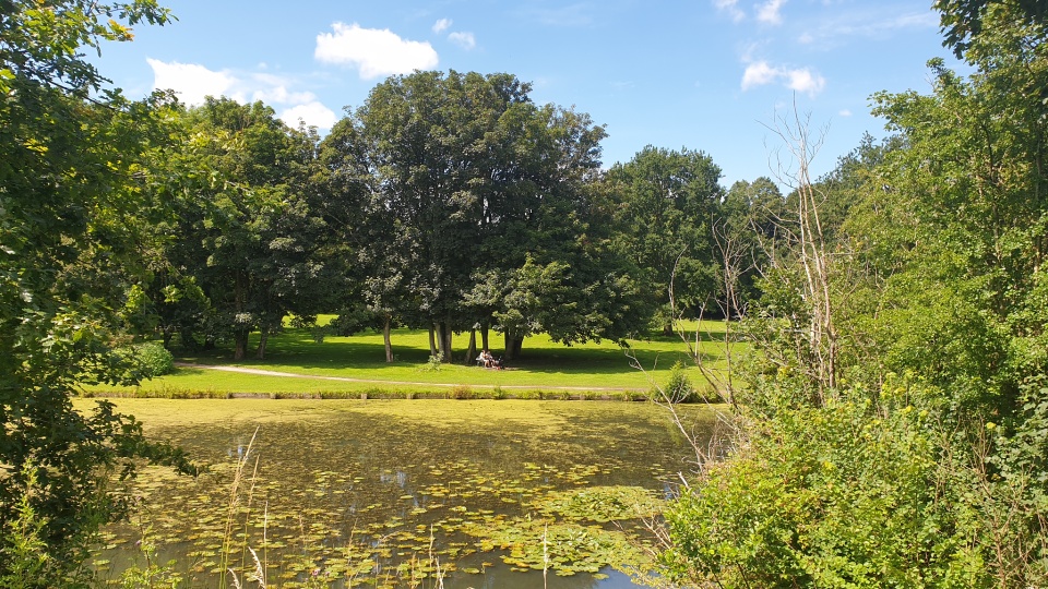 This morning's walk by the canal (Sankey Valley) | MarilynParker | Blipfoto