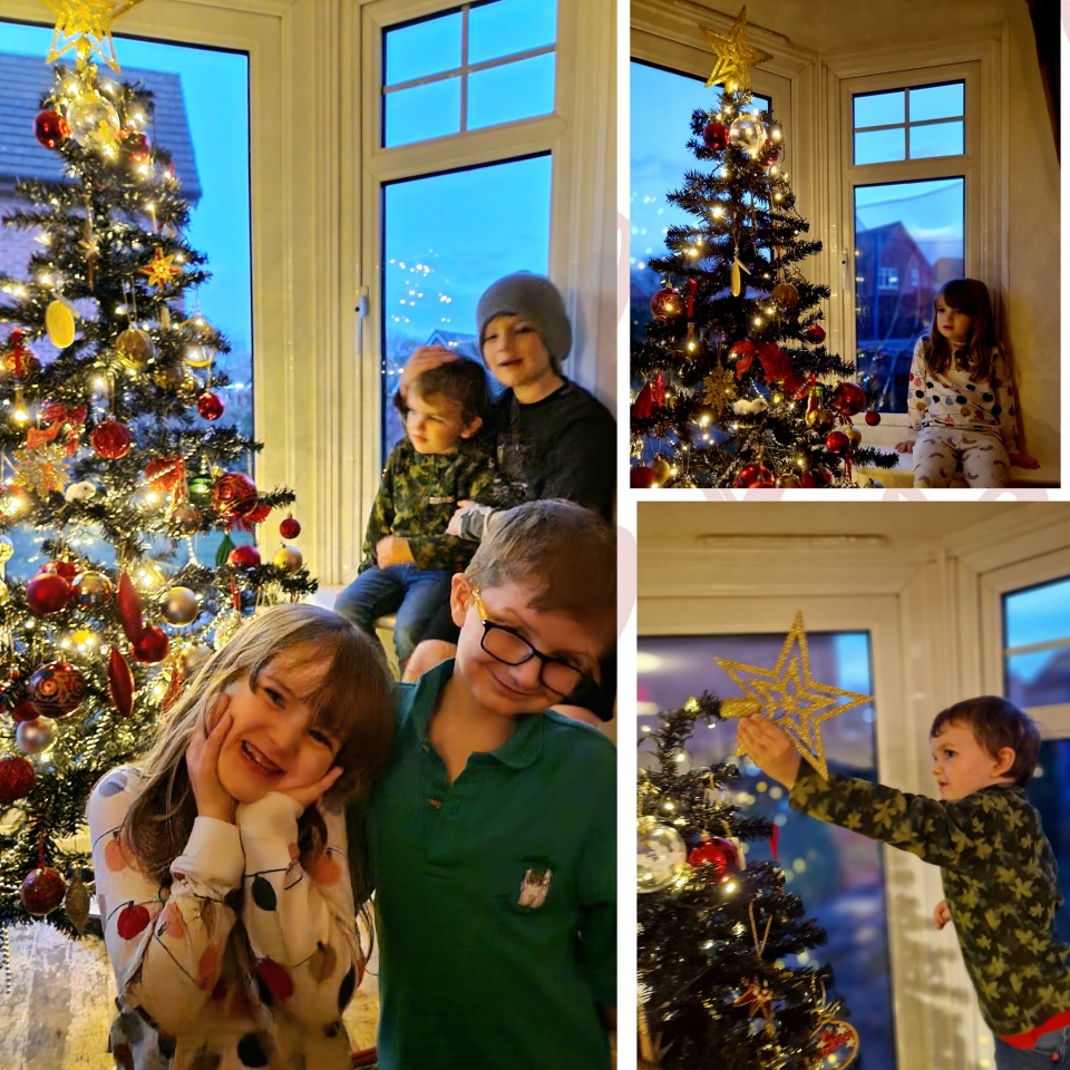 It's CHRISTMAS | MumOf4Wildlings | Blipfoto